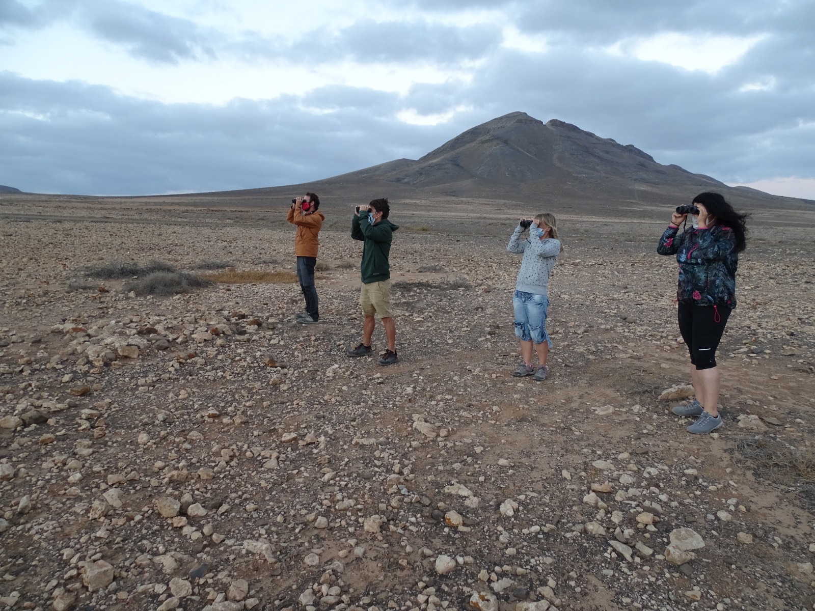 Un total de 84 personas conocen in situ el proyecto de investigación de ...