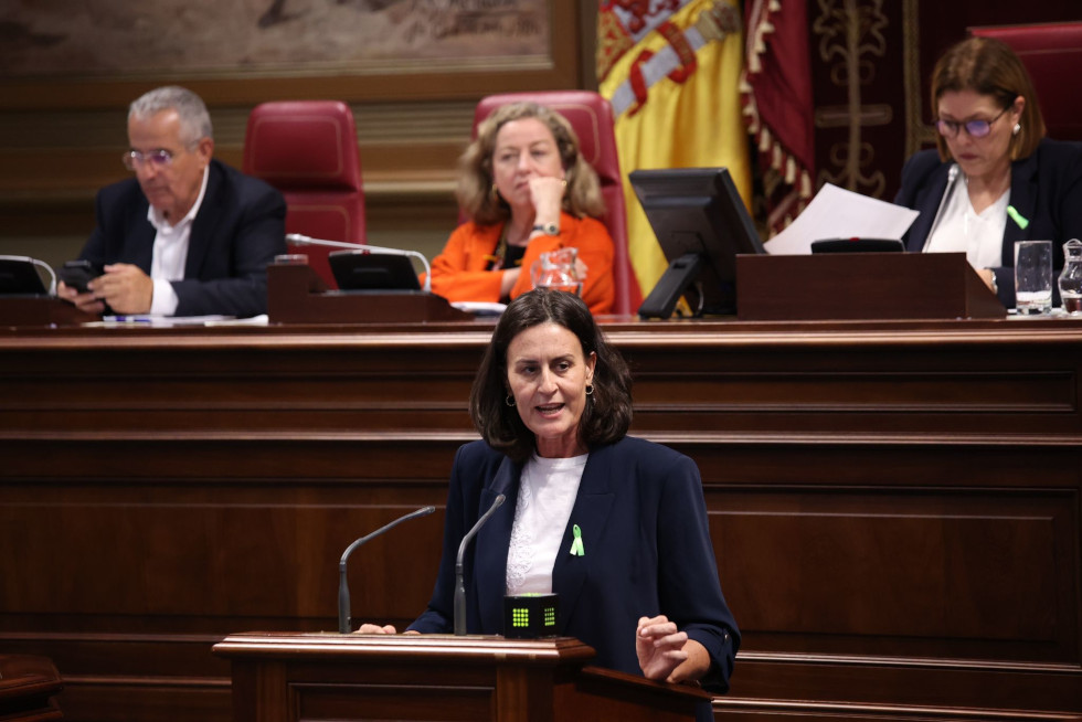 Natalia Évora traslada al Gobierno canario la necesidad de desmantelar ...